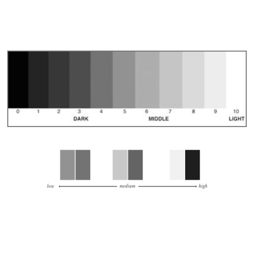 Discover Your Contrast and Elevate Your Style | Color Curate