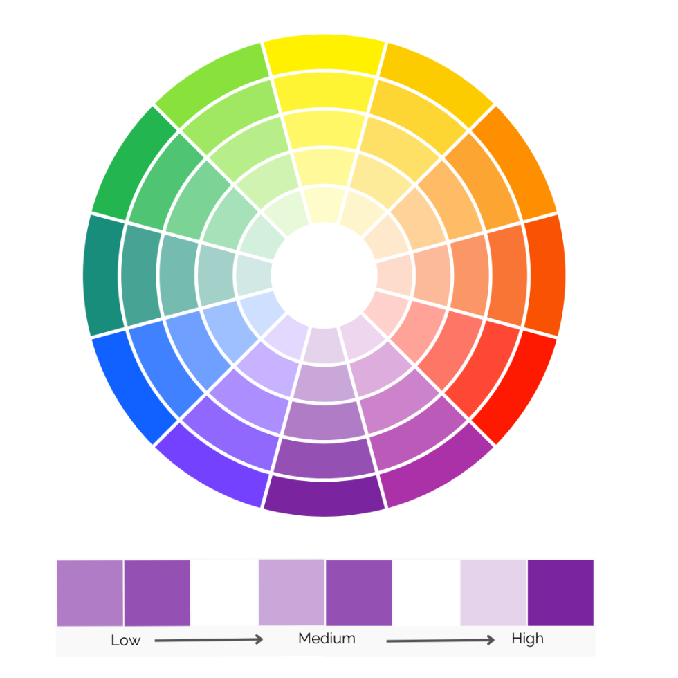 Discover Your Contrast and Elevate Your Style | Color Curate